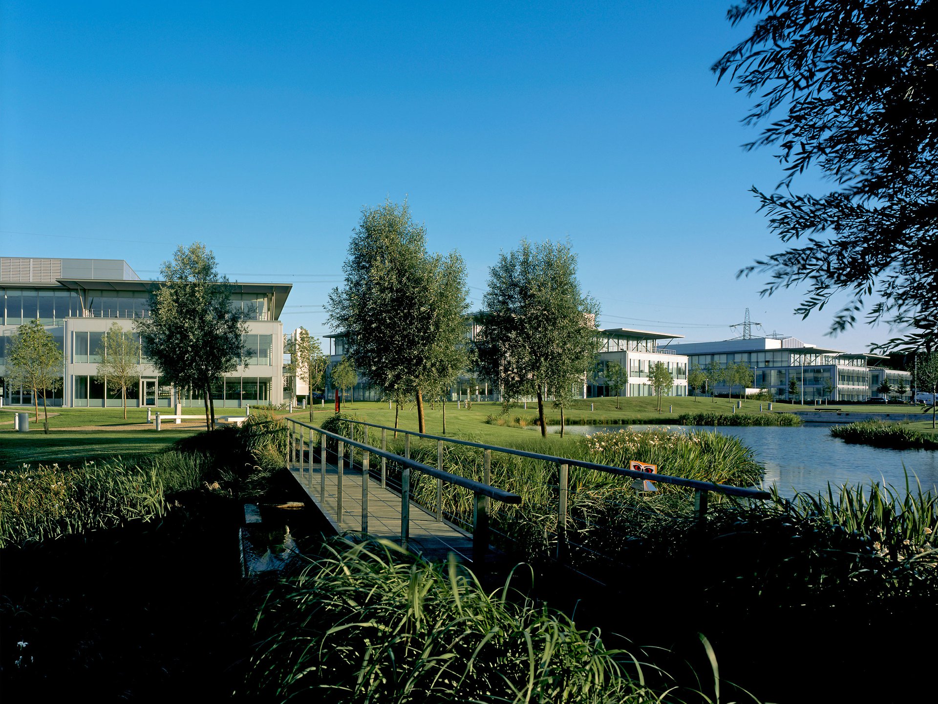 David Roden | Niazi Roden